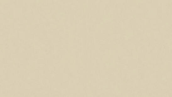 Style Emme PALLADINO 290 Style Emme xf² 2,5 mm Linoleumsgulve