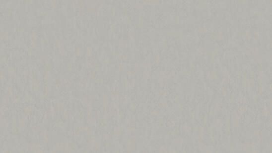 Style Emme PEPE 293 Style Emme xf² 2,5 mm Linoleumsgulve