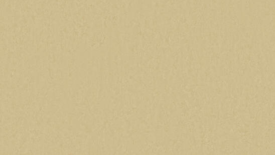 Style Emme RAFFIA 408 Style Emme xf² 2,5 mm Linoleumsgulve