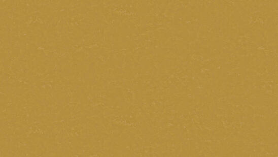 Style Emme OCHRE 428 Style Emme xf² 2,5 mm Linoleumsgulve