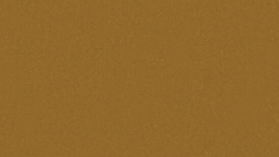 Style Emme SIENNA 434 Style Emme xf² 2,5 mm Linoleumsgulve